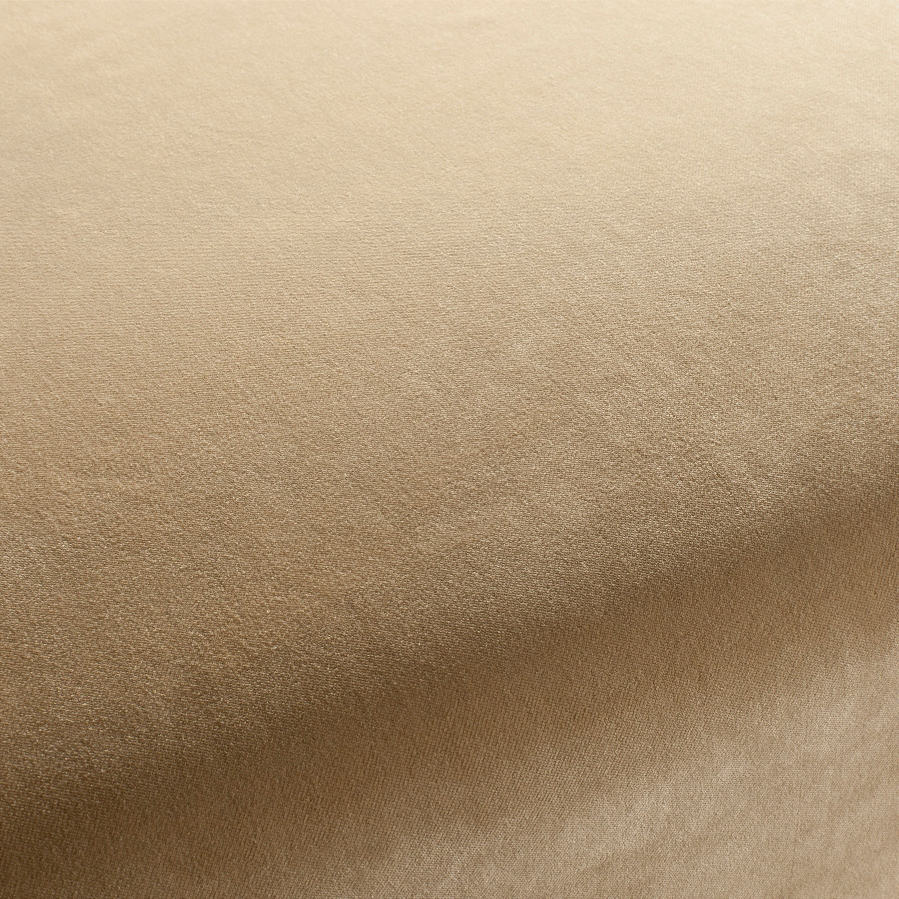 CA7832/075 City Velvet Reloaded Samt Polsterstoff beige ...